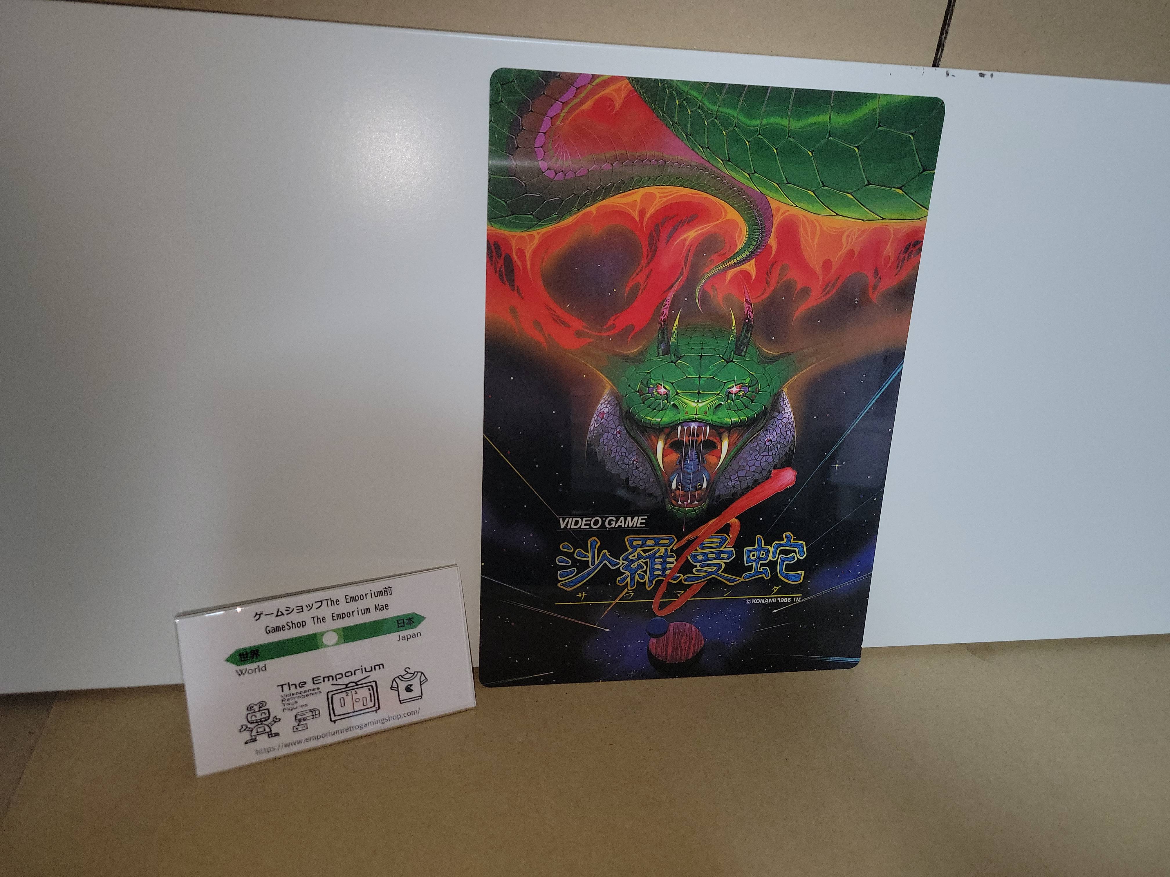 Salamander B5 ART MAT - Arcade poster artset – The Emporium RetroGames ...
